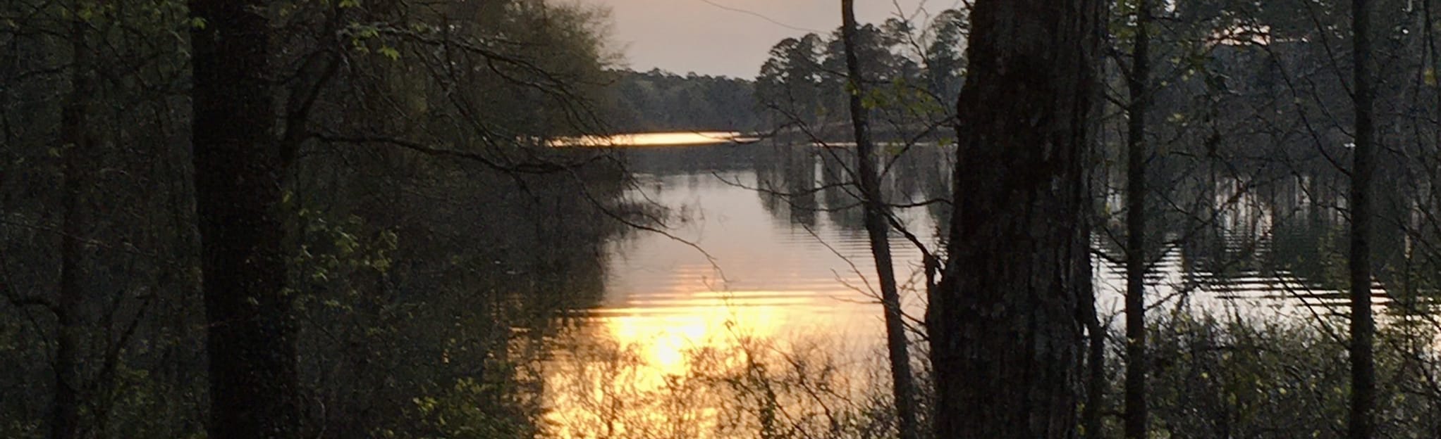 Arlie Moore Interpretive Trail: 41 Reviews, Map - Arkansas | AllTrails