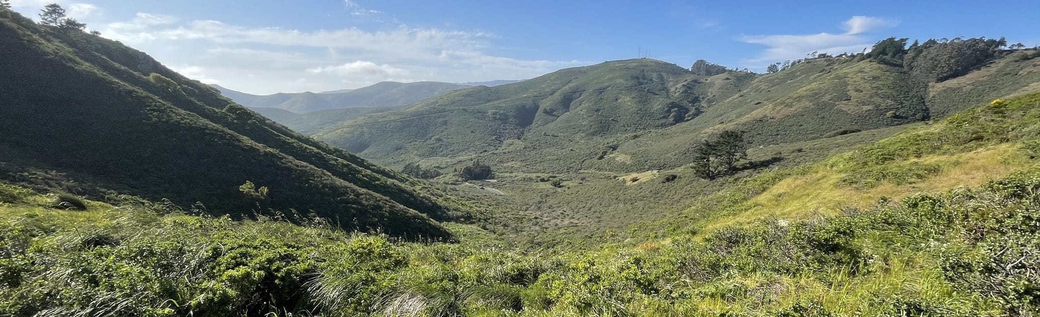 SCA Trail, California - 217 Reviews, Map | AllTrails
