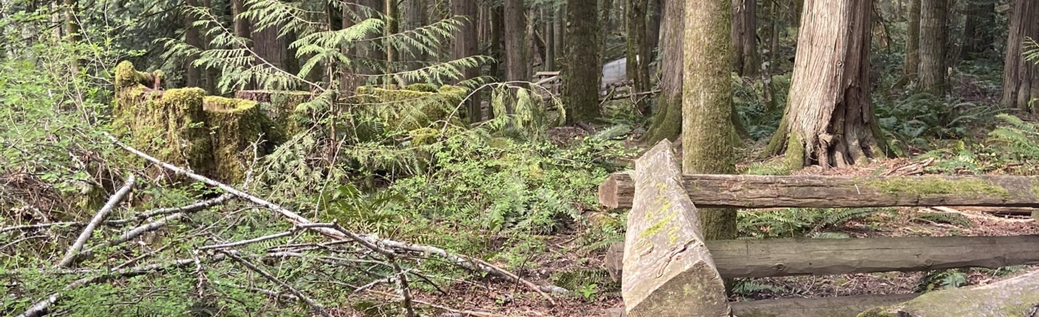 Centennial Park Loop, British Columbia, Canada - 205 Reviews, Map ...