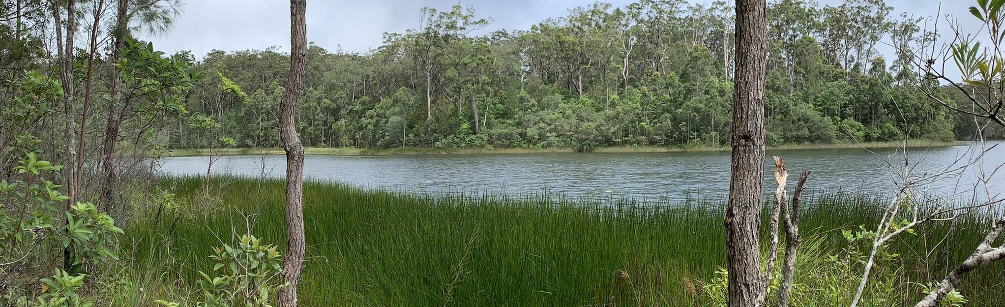 Wild River Dam, Queensland, Australia - 4 Reviews, Map | AllTrails