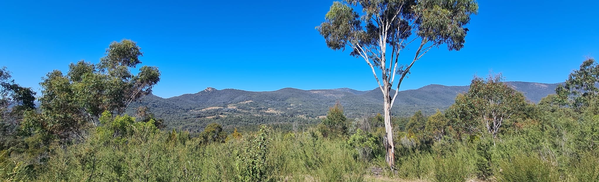 Nil Desperandum Long Route: 10 Reviews, Map - Australian Capital Territory, Australia | AllTrails