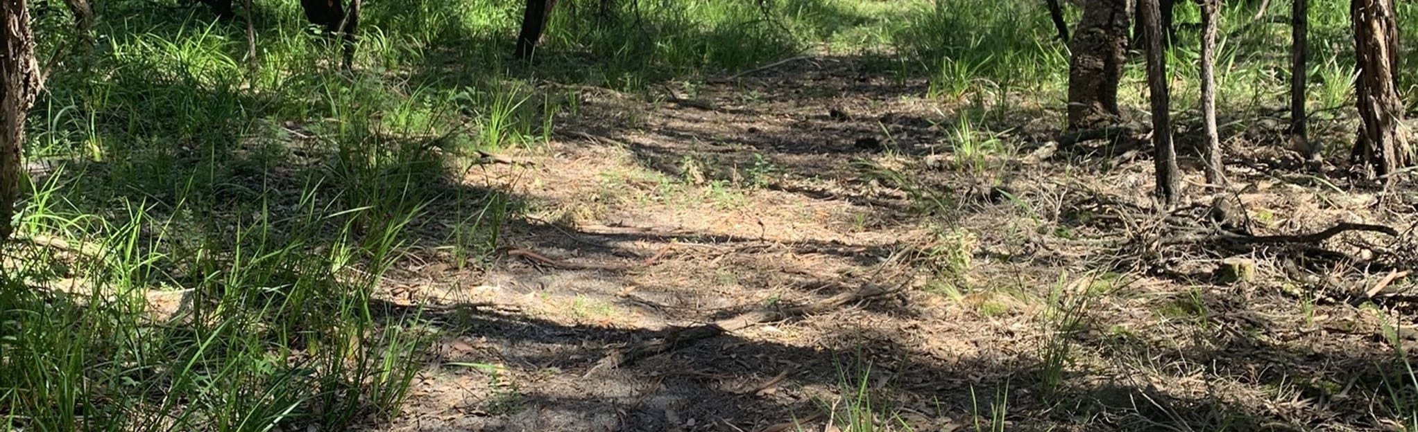 Thurra River Dunes Walk: 5 Reviews, Map - Victoria, Australia | AllTrails