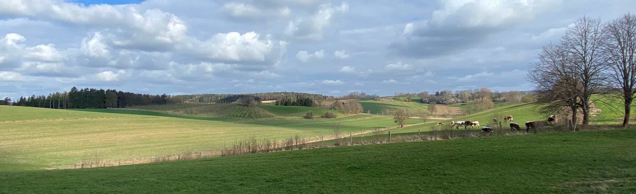 Rund um Scheyern: 10 Fotos - Bayern, Deutschland | AllTrails