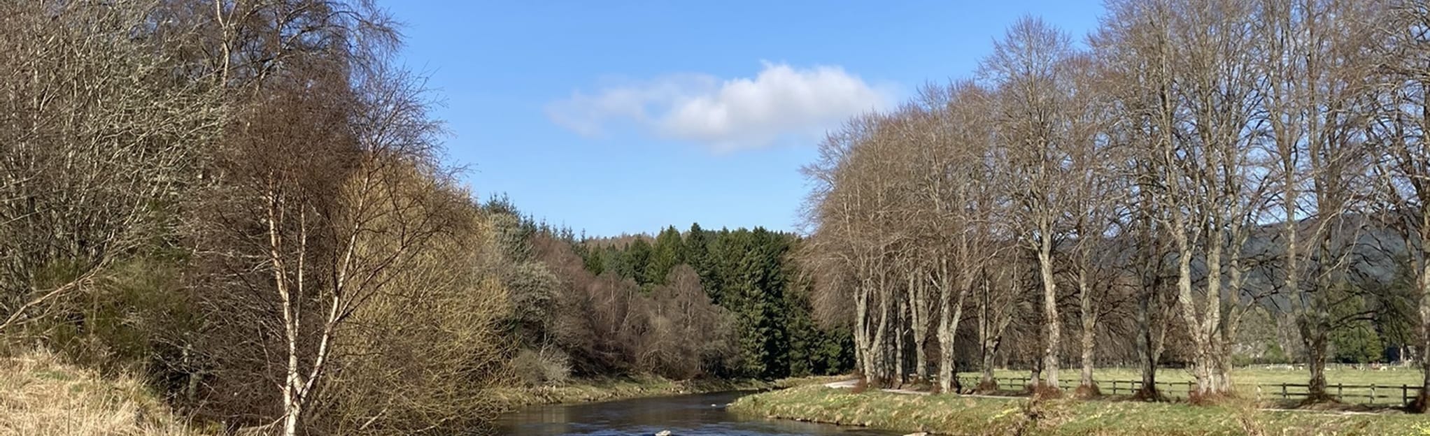 Pitfichie Woods and Craigton Wood Circular: 15 Reviews, Map ...