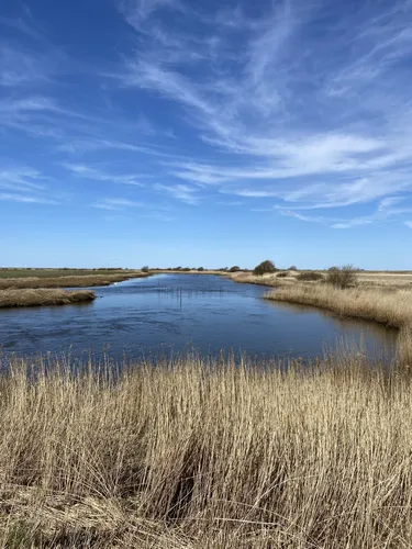 10 Best River Trails in Ribe | AllTrails