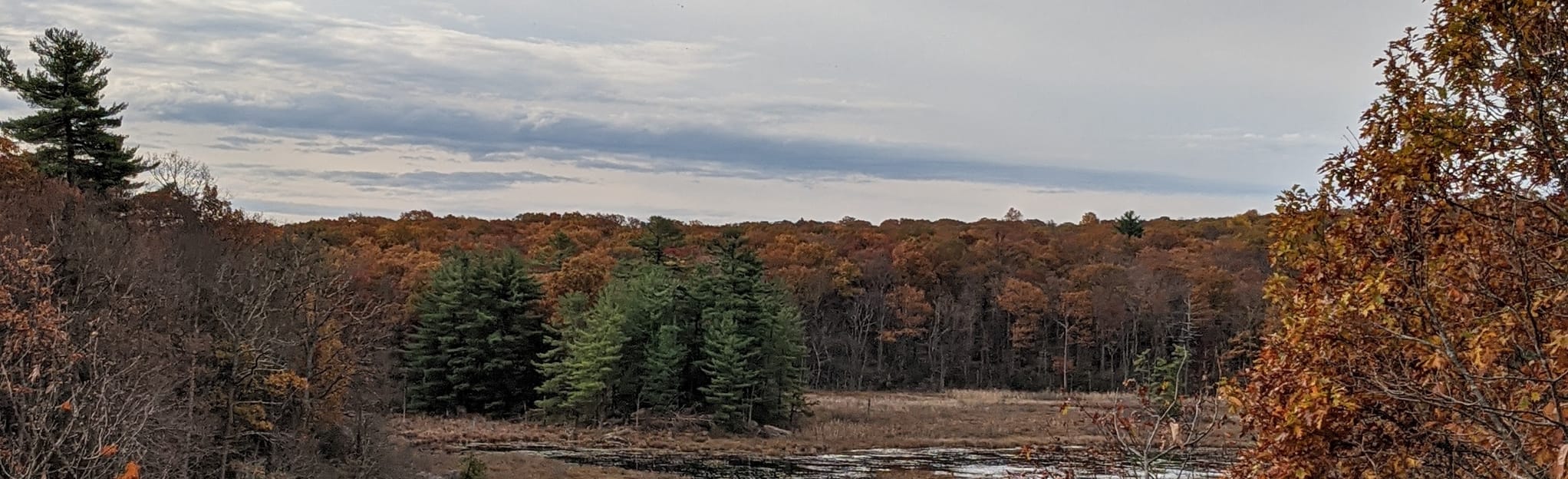 Audubon Overlook Loop: 145 Reviews, Map - New Jersey | AllTrails