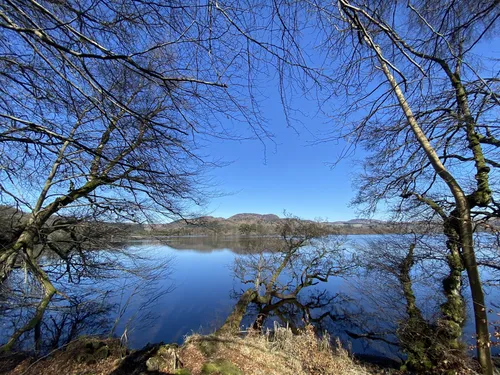 10 Best Trails, Walks, and Paths in Dunkeld | AllTrails