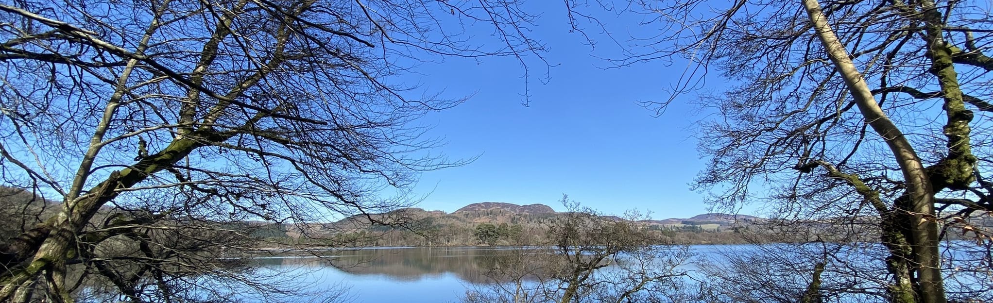 Loch of the Lowes Loop: 31 Reviews, Map - Perth and Kinross, Scotland ...