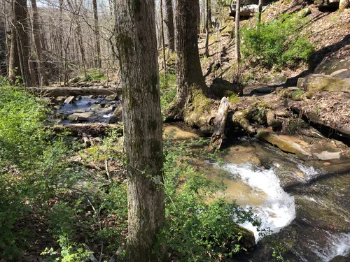 10 Best Trails and Hikes in Sewanee | AllTrails