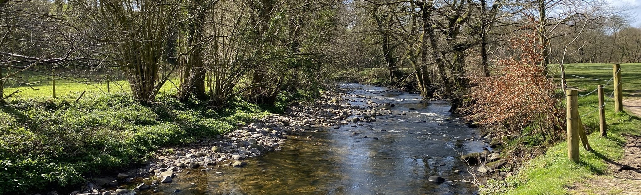 Brock Valley, Lancashire, England - 34 Reviews, Map | AllTrails