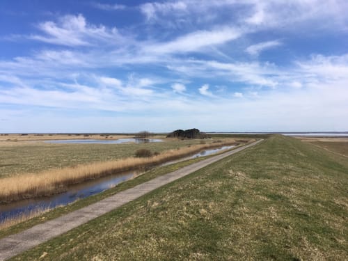 Parc national de la Mer des Wadden : les 10 meilleures randonnées ...