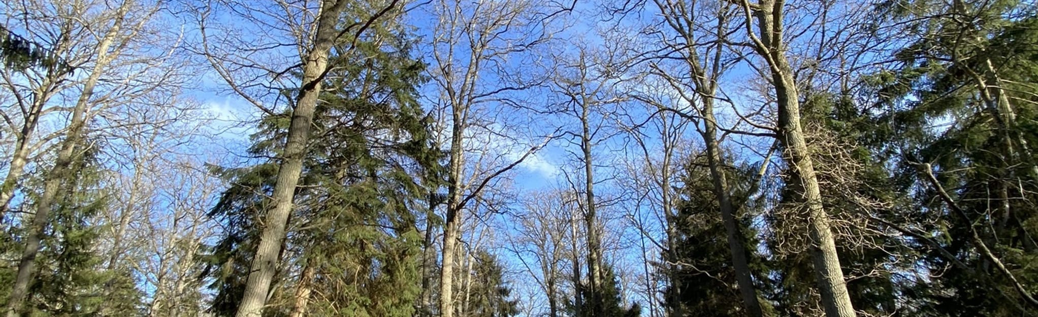 Tisvilde Hegn - Asserbo Kloster, Capital Region of Denmark, Denmark ...