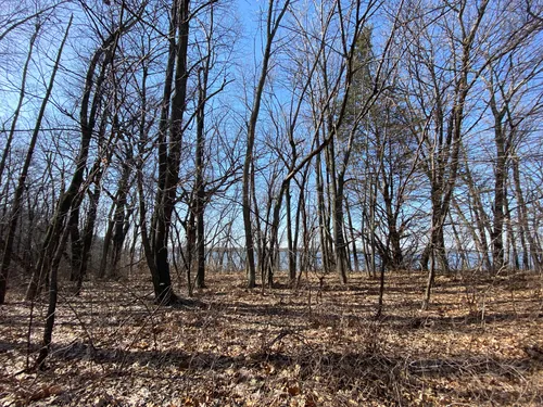 Best Hikes and Trails in Lamprey Pass WMA | AllTrails