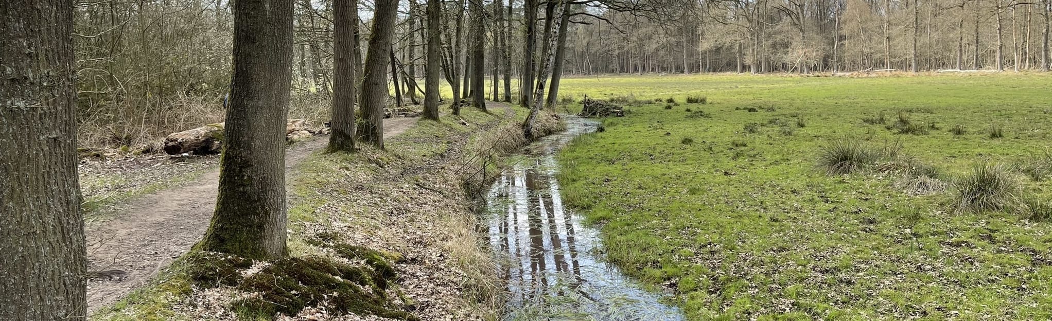 Wandelroute Cultuurhistorisch Banisveld bij Boxtel: 26 Reviews, Map ...