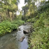 Oloolua Nature Trail, Rift Valley, Kenya - 29 Reviews, Map | AllTrails