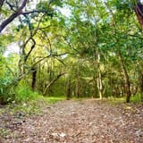 Oloolua Nature Trail, Rift Valley, Kenya - 29 Reviews, Map | AllTrails