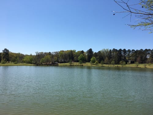 Best Hikes and Trails in Lamar Park | AllTrails