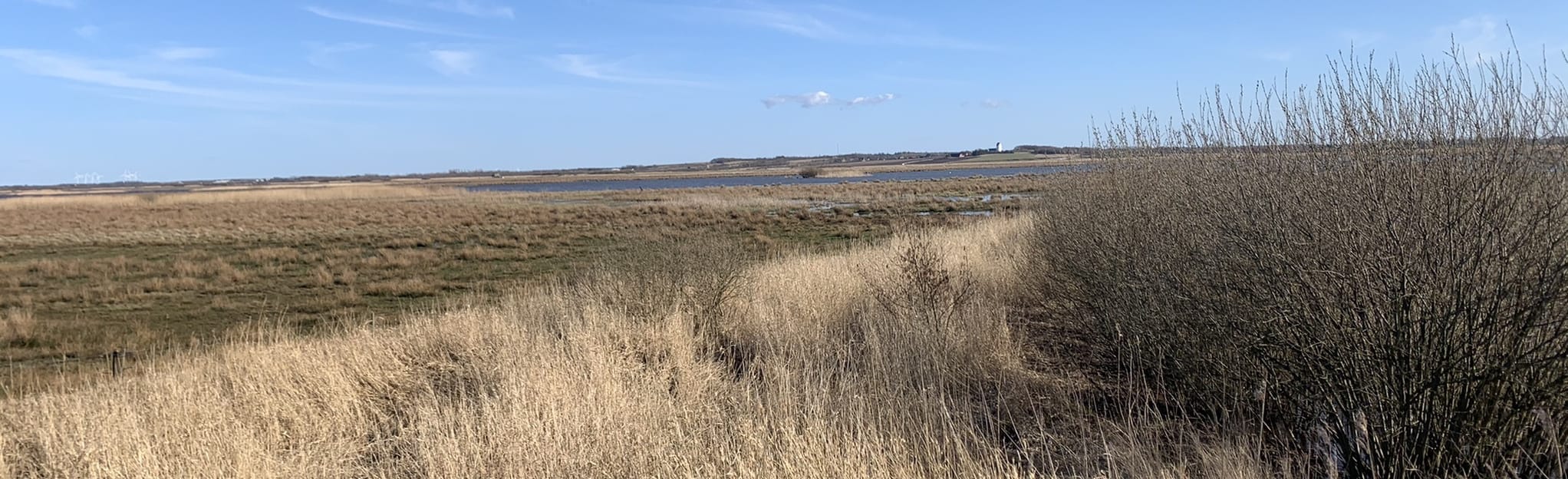 Skjern Enge - Skænken Sø, 41 Fotos - Central Denmark, Denmark | AllTrails