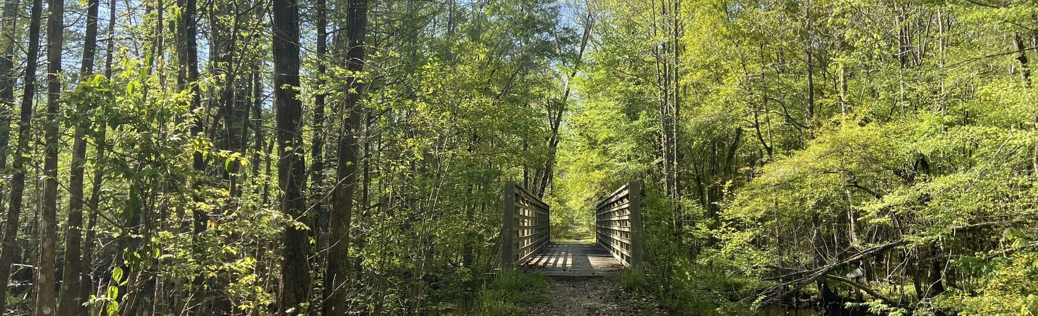 Palmetto Trail Swamp Fox Passage | Map, Guide - South Carolina | AllTrails