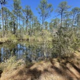 Neusiok Trail Northern Half, North Carolina - 151 Reviews, Map | AllTrails