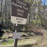 Neusiok Trail Northern Half, North Carolina - 151 Reviews, Map | AllTrails
