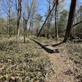 Neusiok Trail Northern Half, North Carolina - 151 Reviews, Map | AllTrails
