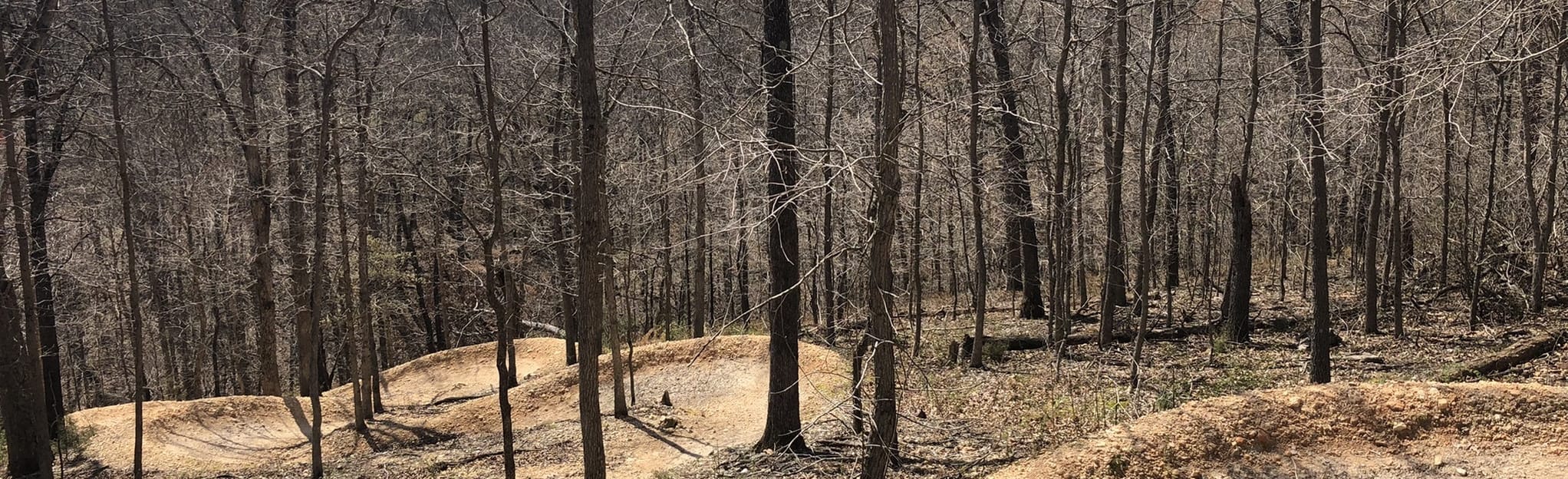 Down Under Trail, Arkansas - 105 Reviews, Map | AllTrails
