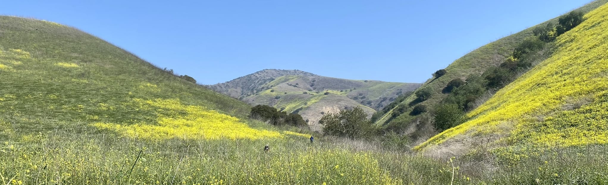 Gilman Peak and McDermont Trail Loop - California | AllTrails
