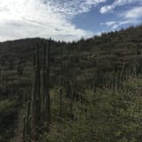 Jamanota Trail, Aruba, Aruba - 54 Reviews, Map | AllTrails