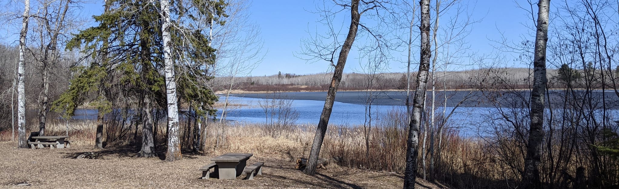 Carey Lake | Mapa, Roteiro - Minnesota | AllTrails