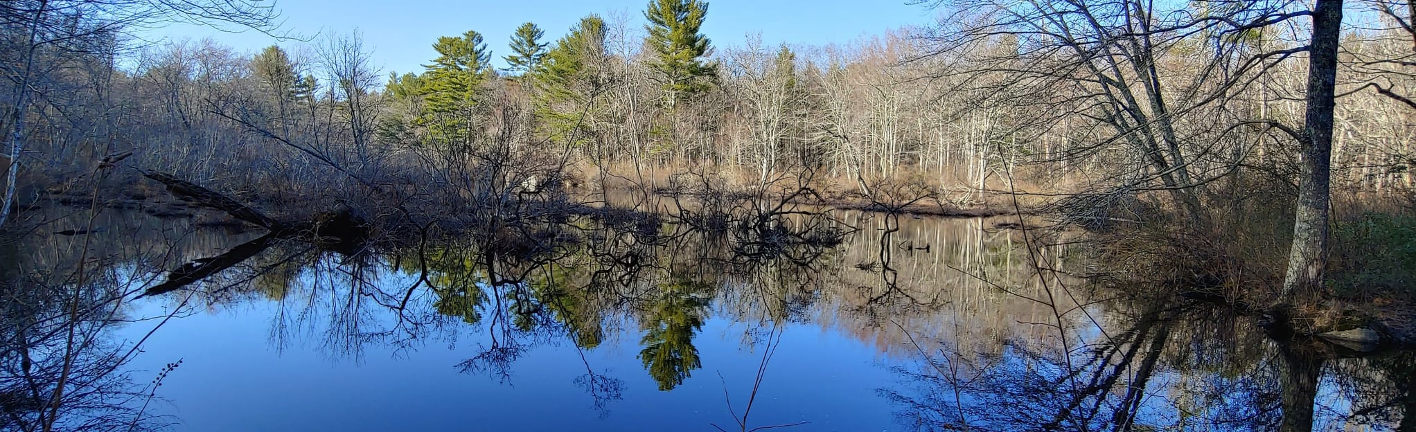 Stepstone Falls via Ben Utter Trail, Rhode Island - 1,418 Reviews, Map ...