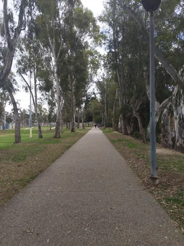 Best Hikes and Trails in Charles H Wilson Park | AllTrails