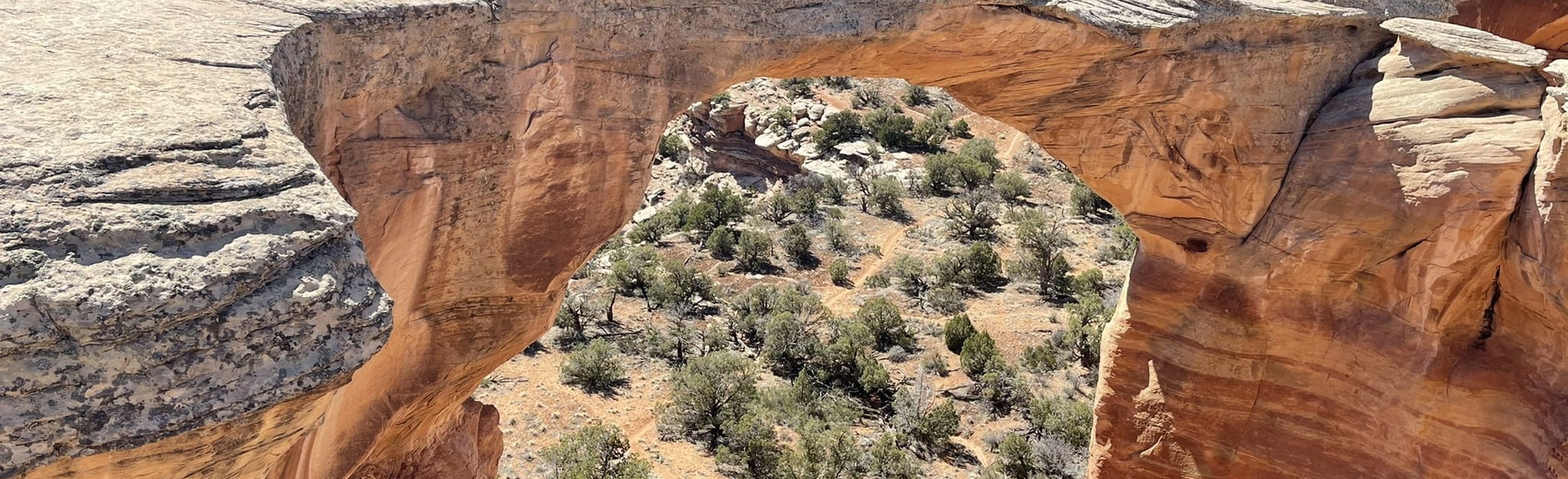 Cedar Tree Arch, East Rim Arch, and Bridge Arch - Colorado | AllTrails