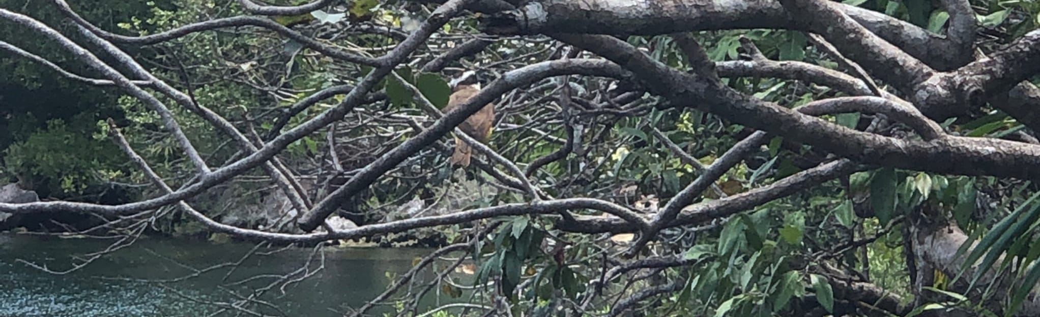 Xel-Ha Park: 2 Reviews, Map - Quintana Roo, Mexico | AllTrails