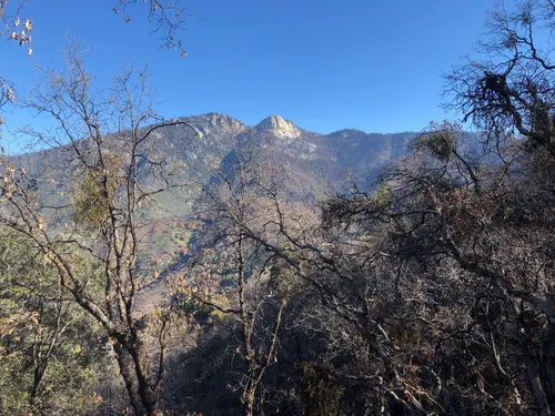 10 Best Wild Flowers Trails in Three Rivers | AllTrails