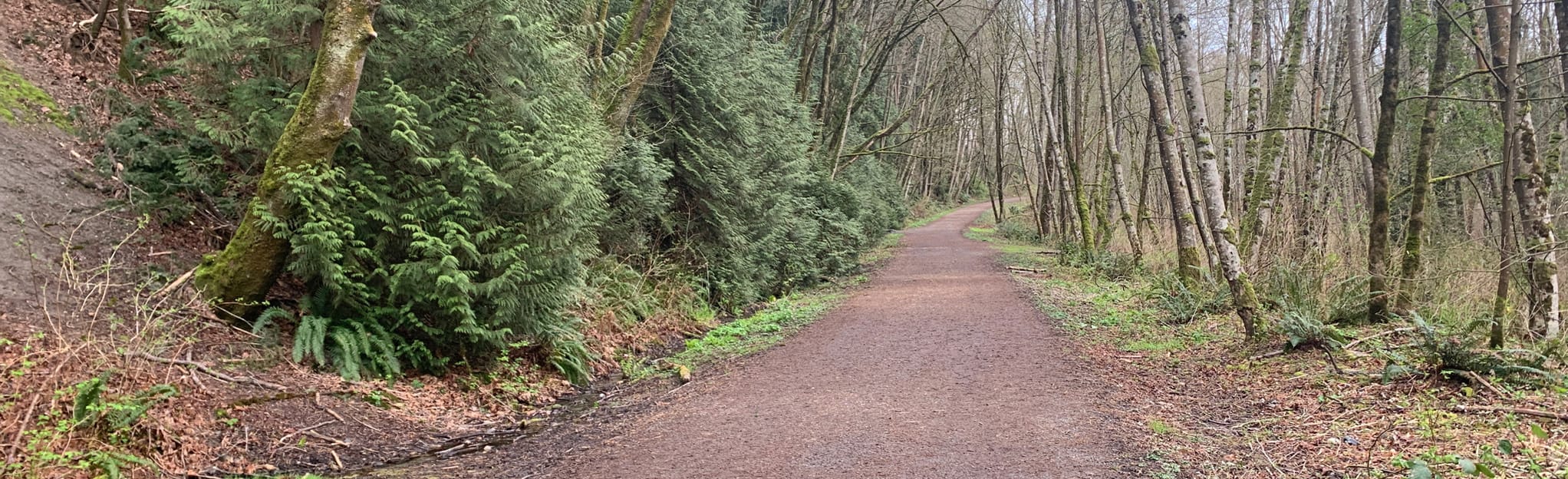 Watershed Park Lower Trail, British Columbia, Canada - 149 Reviews, Map ...