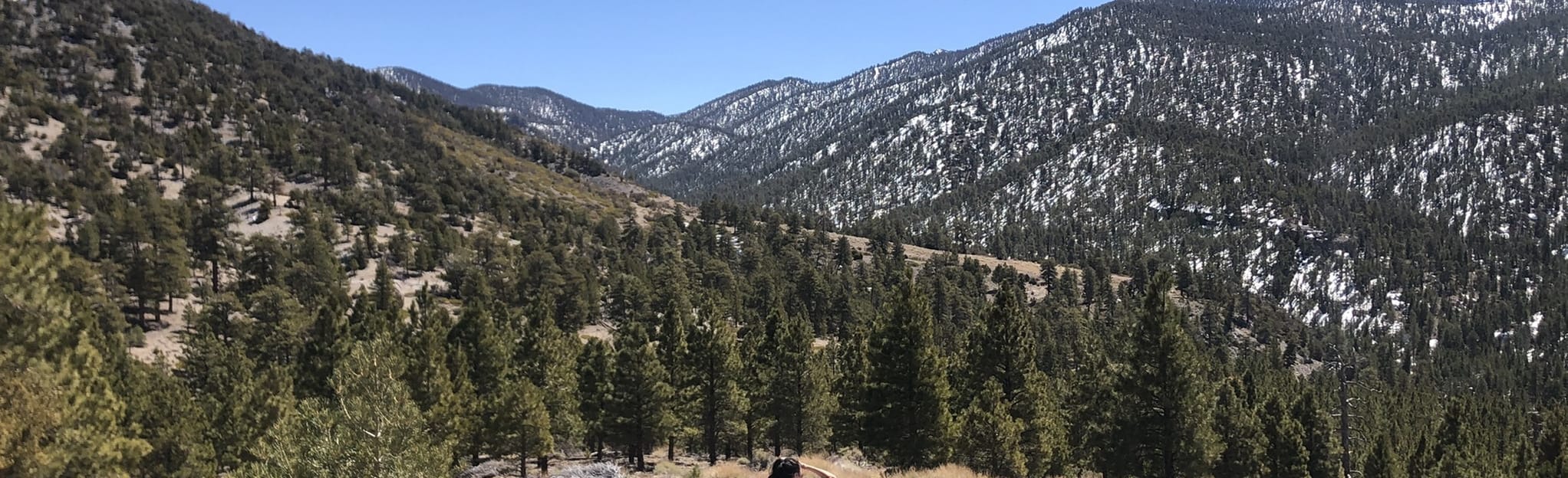 Clark Canyon: 6 foto - Nevada | AllTrails