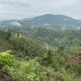 Bukit Lagong Trail, Selangor, Malaysia - 13 Reviews, Map | AllTrails