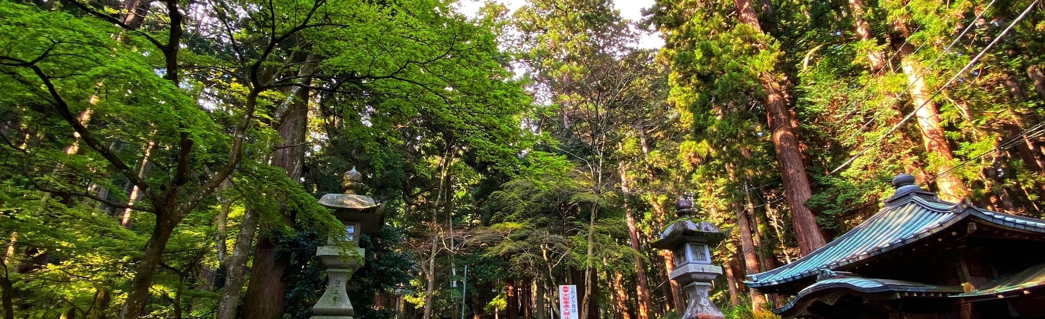 Daiyuzan Saijoji Temple - Mount Yagura - Suruga-Oyama Station, Kanagawa ...