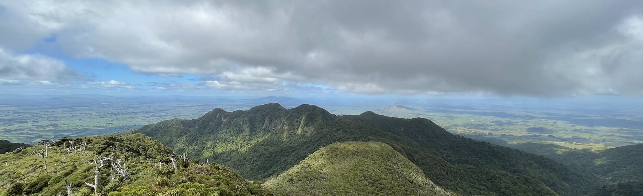 Pironga Summit via Mahaukura Track, Waikato, New Zealand - 33 Reviews ...
