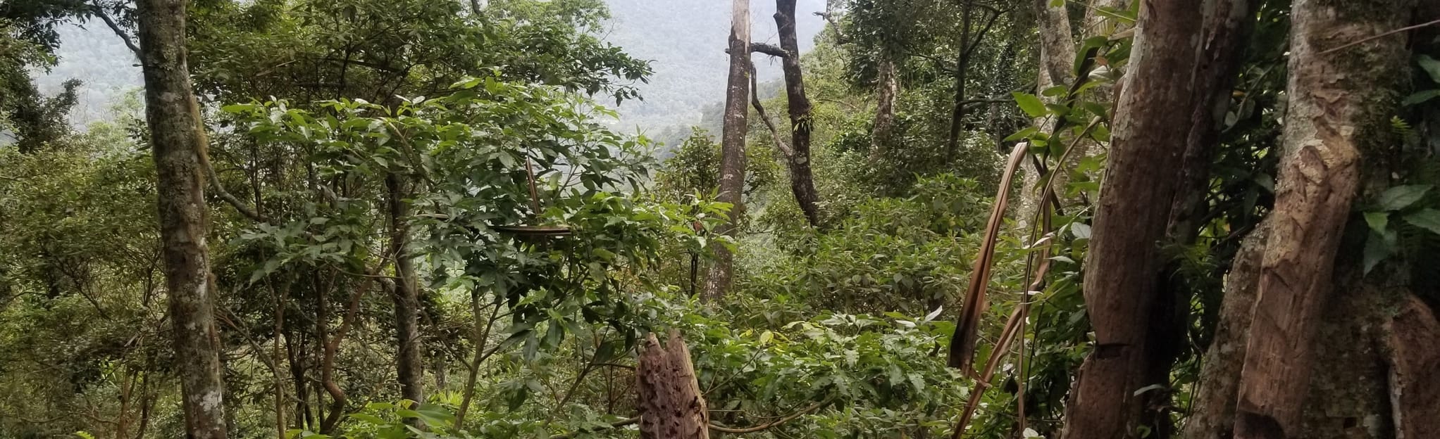 Kondok Hill - Mount Propok, West Nusa Tenggara, Indonesia - 4 Reviews ...