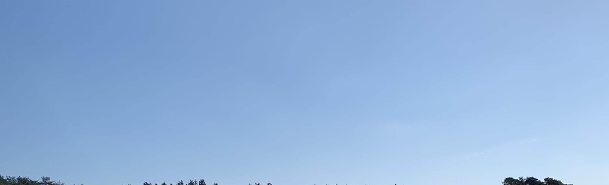 Sika Trail, Birchwood and Hunters Moon - Dorset, England | AllTrails