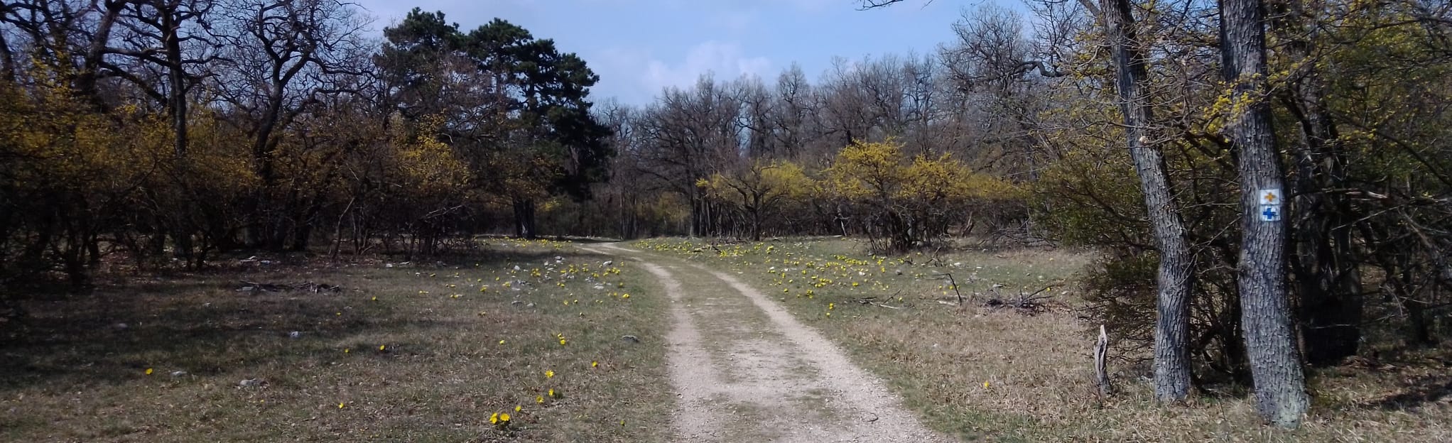 Normafa - Nagykovácsi, Budapest, Hungary - 5 Reviews, Map | AllTrails