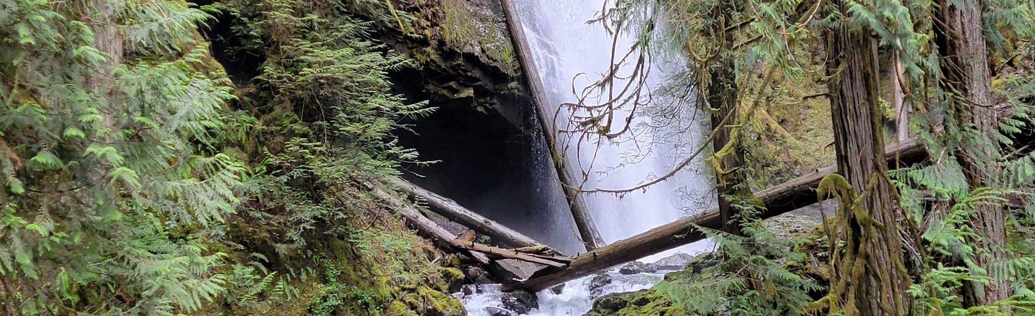 Murhut Falls Trail, Washington - 845 Reviews, Map | AllTrails
