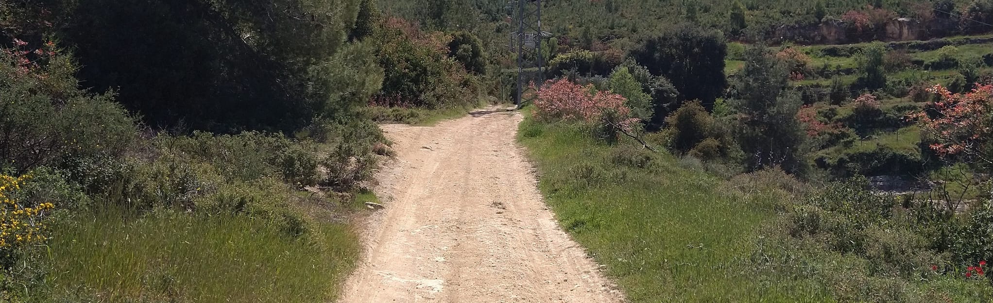 Hadassa Ein Karem and Even Sapir Loop: 1 Reviews, Map - Jerusalem ...