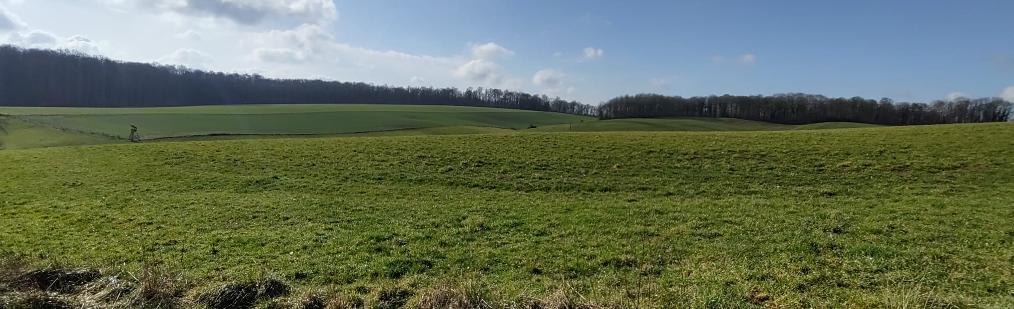 Gelbressée via Marche-les-Dames | Map, Guide - Namur, Belgium | AllTrails