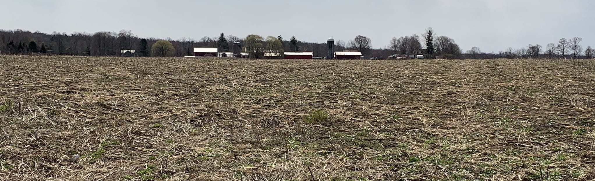 The Farm Trails at Greig Farm: 55 Reviews, Map - New York | AllTrails