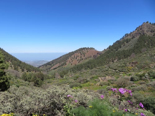 Best Hikes and Trails in Hoya del Gamonal | AllTrails