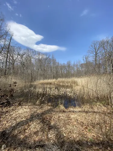 Best Hikes and Trails in Great Swamp National Wildlife Refuge | AllTrails