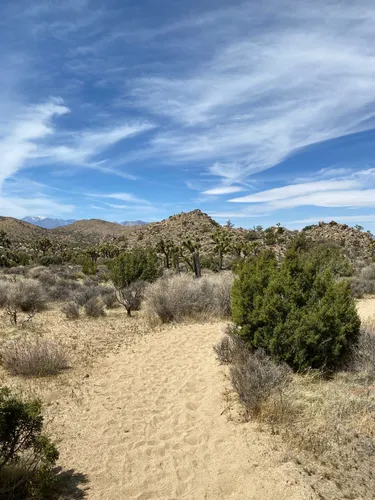 10 Best Trails and Hikes in Yucca Valley | AllTrails